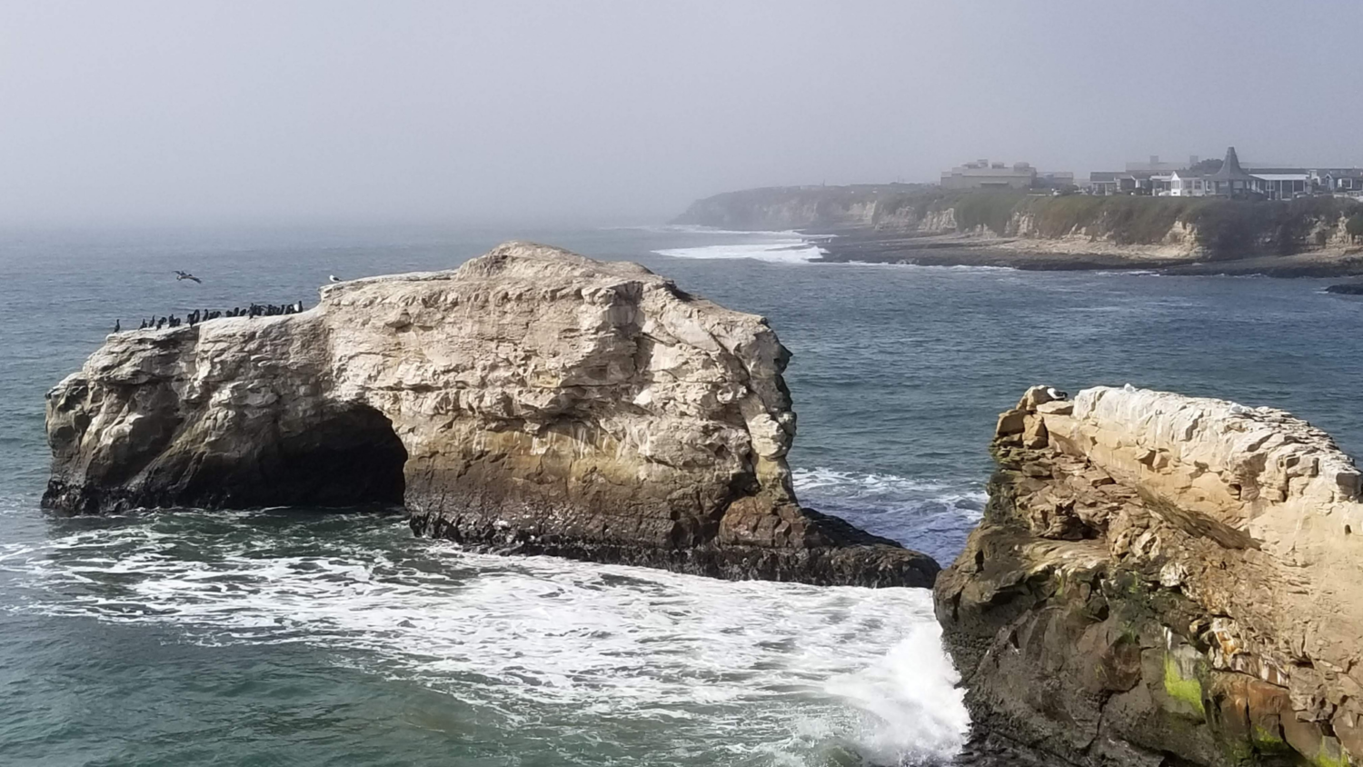 Santa Cruz Top 5 Geologic Must-Sees - Santa Cruz Museum of Natural History