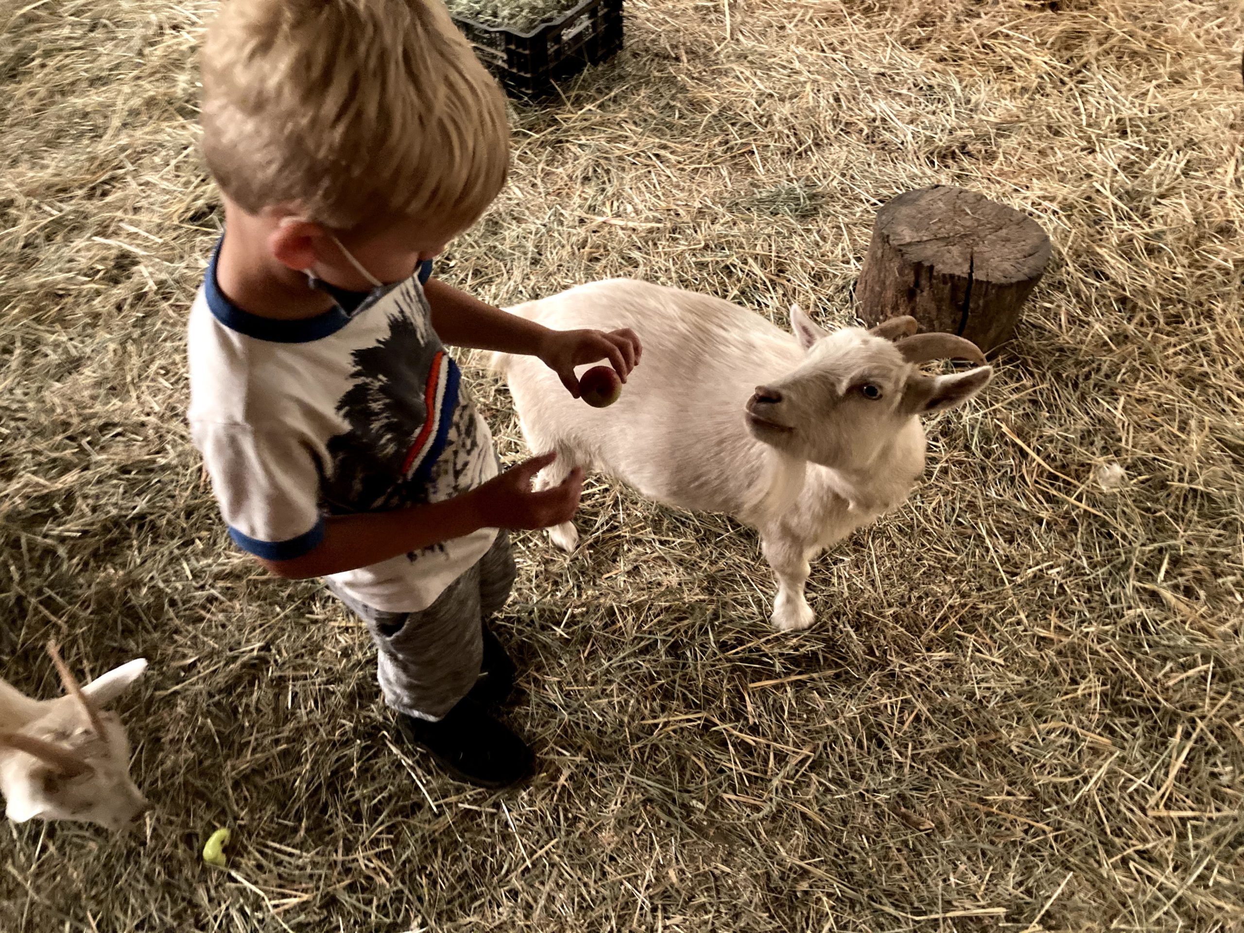 CANCELLED 10/16 Out And About: Fall Foods at Live Earth Farm - Santa ...