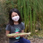 Nature Explorers Camps - Santa Cruz Museum of Natural History