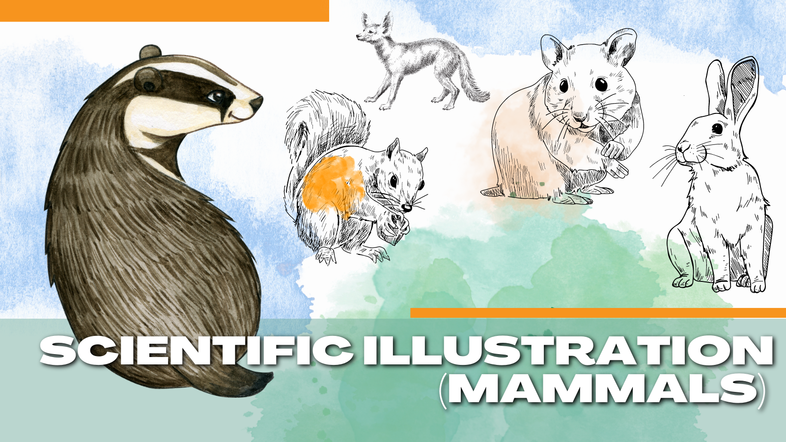 Let’s Get Outside - Santa Cruz Museum of Natural History