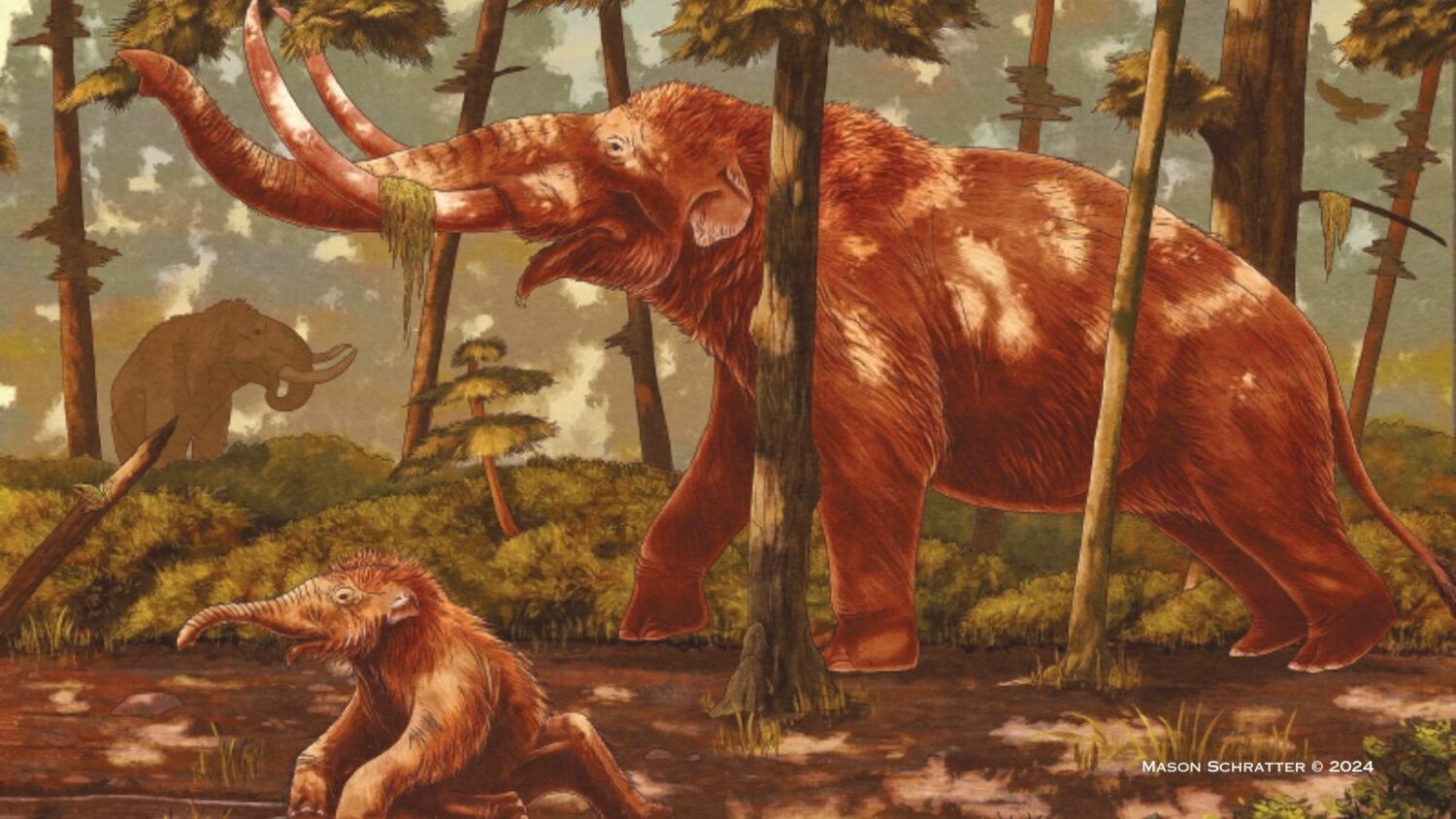 Making Mastodons Come to Life - Santa Cruz Museum of Natural History