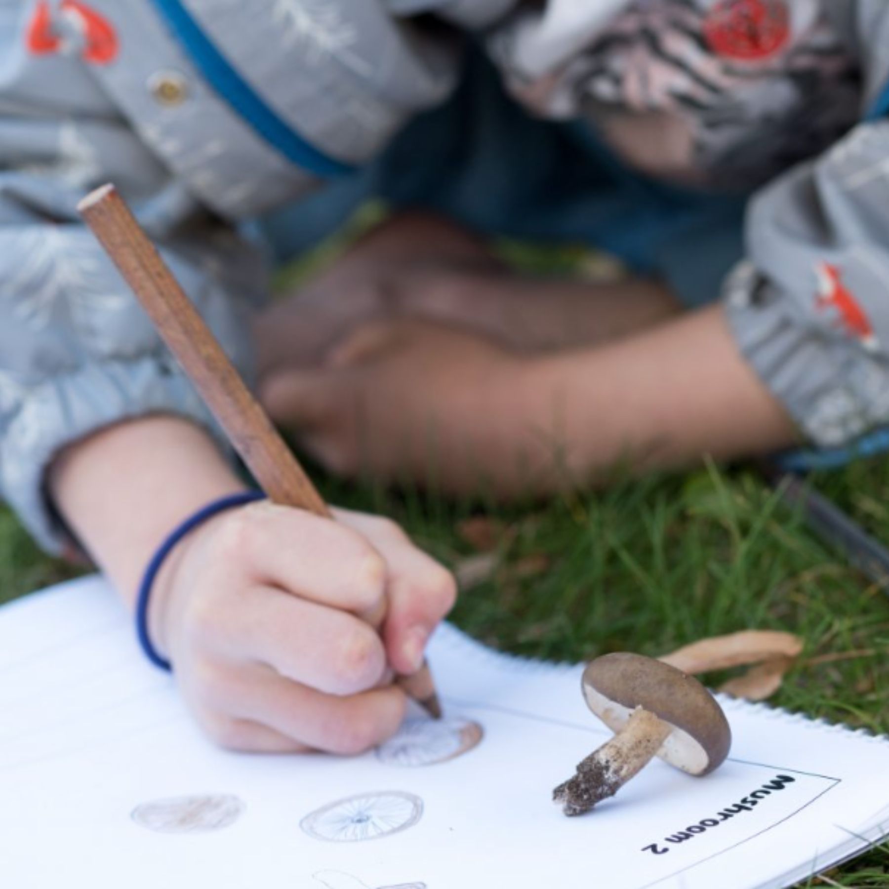 Education - Santa Cruz Museum of Natural History